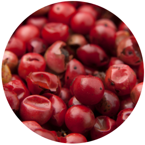 Goji Seed (Lycium Barbarum) Carrier Oil – Plant's Power e-Store